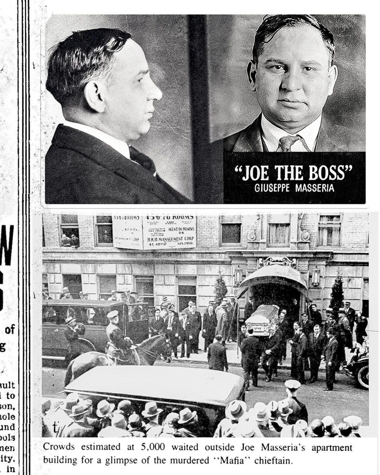 Various Images – Gang Rule